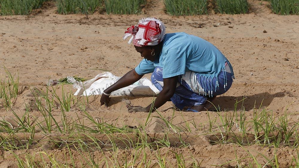 La SAM s’invite à la Financial Inclusion Week 2022 pour parler du rôle de la finance inclusive ...